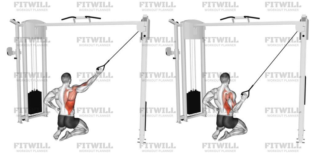 Cable Kneeling Single Lat Pulldown: Exercise Guide, Techniques ...