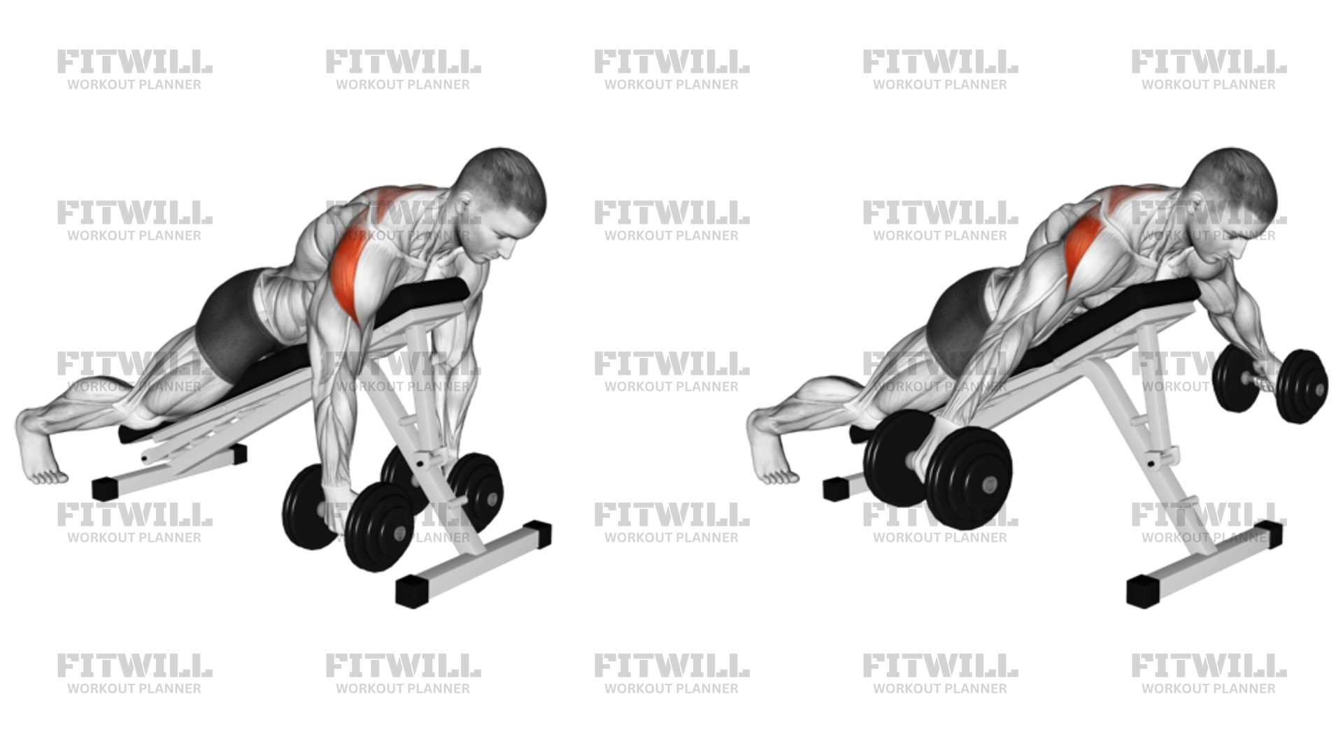 Dumbbell Prone Rear Delt Swing: Exercise Guide, Video, Techniques ...