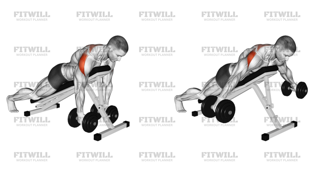 Dumbbell Prone Rear Delt Swing: Exercise Guide, Video, Techniques ...