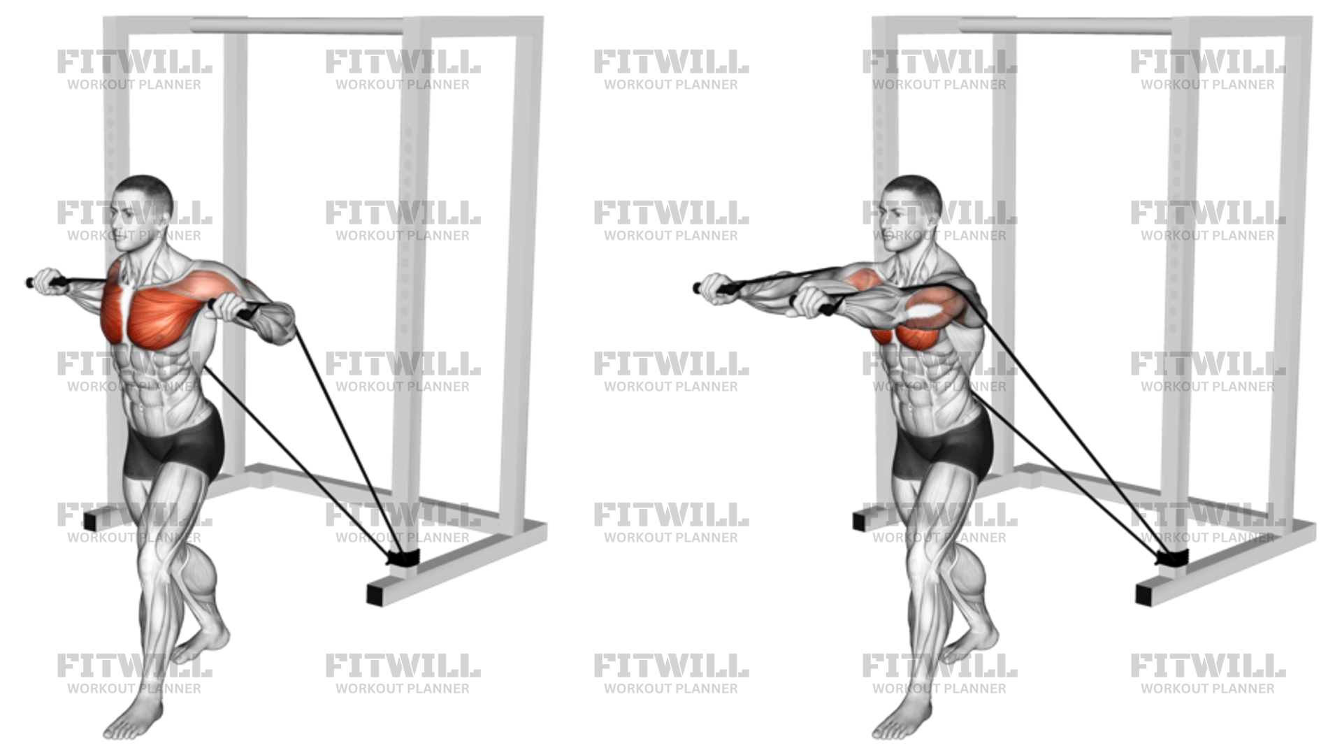 Band Standing Chest Press Version 2: Exercise Guide, Techniques ...