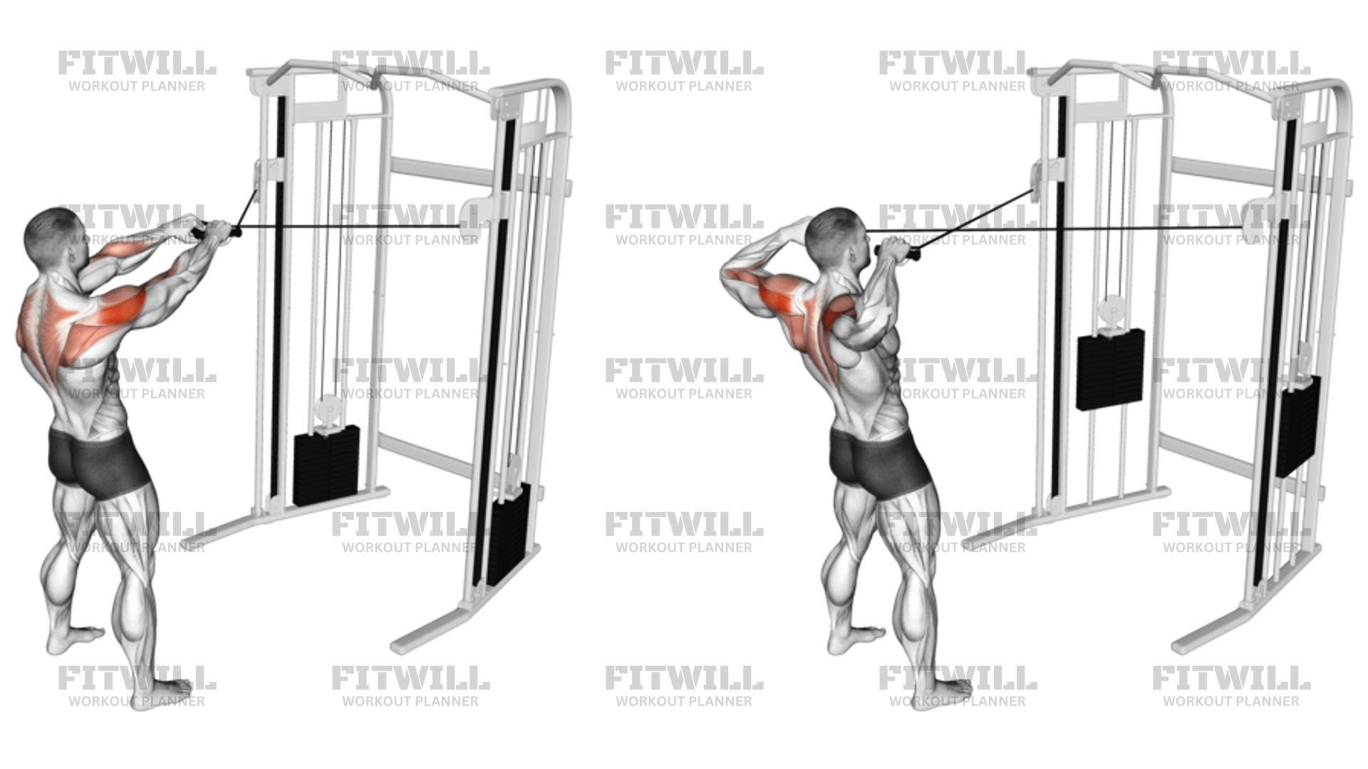 Cable Standing Face Pull: Exercise Guide, Video, Techniques, Benefits, How to, Muscles Worked ...