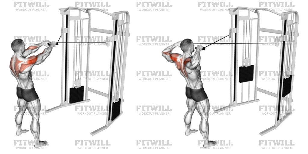 Cable Standing Face Pull: Exercise Guide, Video, Techniques, Benefits ...