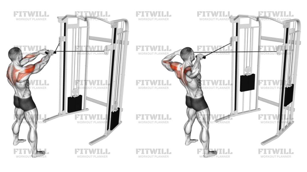 Cable Standing Face Pull: Exercise Guide, Video, Techniques, Benefits ...