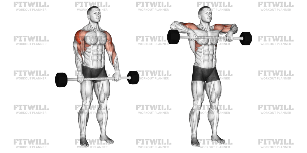 Remo Vertical Con Barra Con Agarre En Hombros: Guía de Ejercicios ...