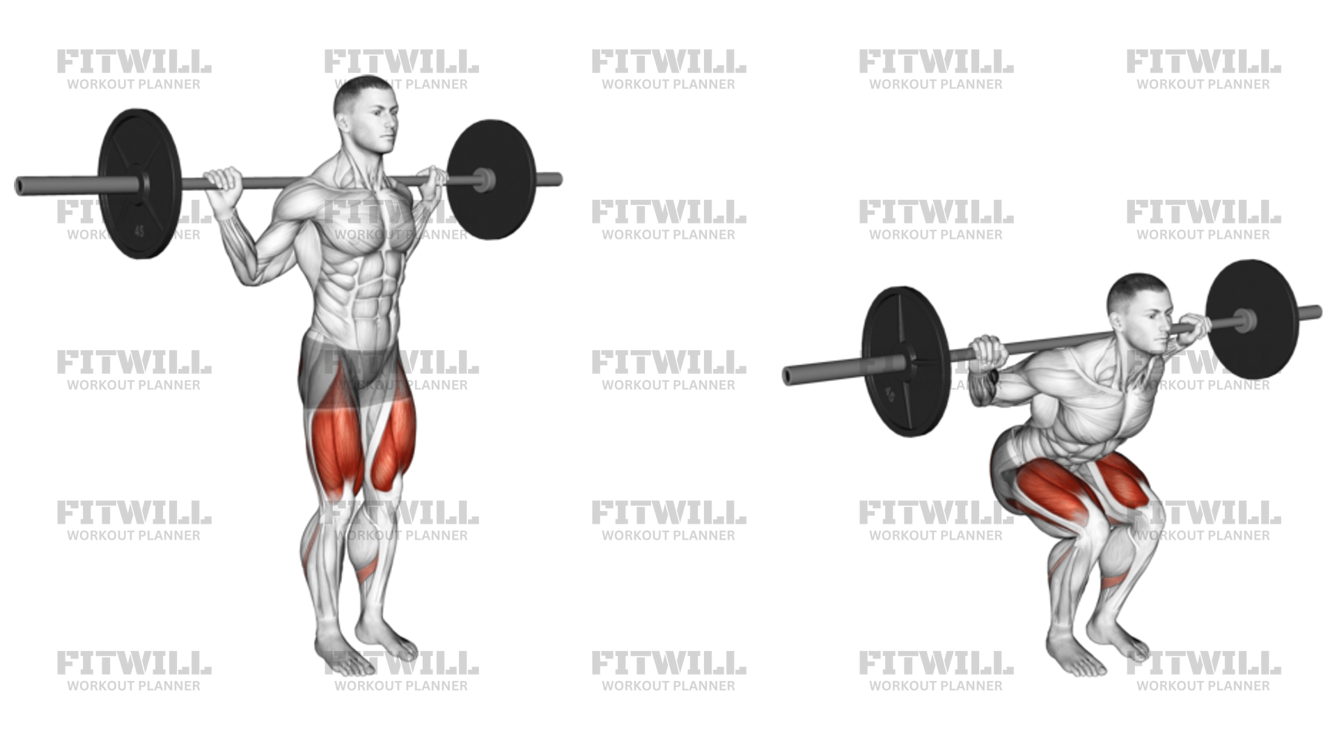 Sentadilla Con Barra Y Postura Estrecha: Guía de Ejercicios, Video, Técnicas, Beneficios, Cómo ...