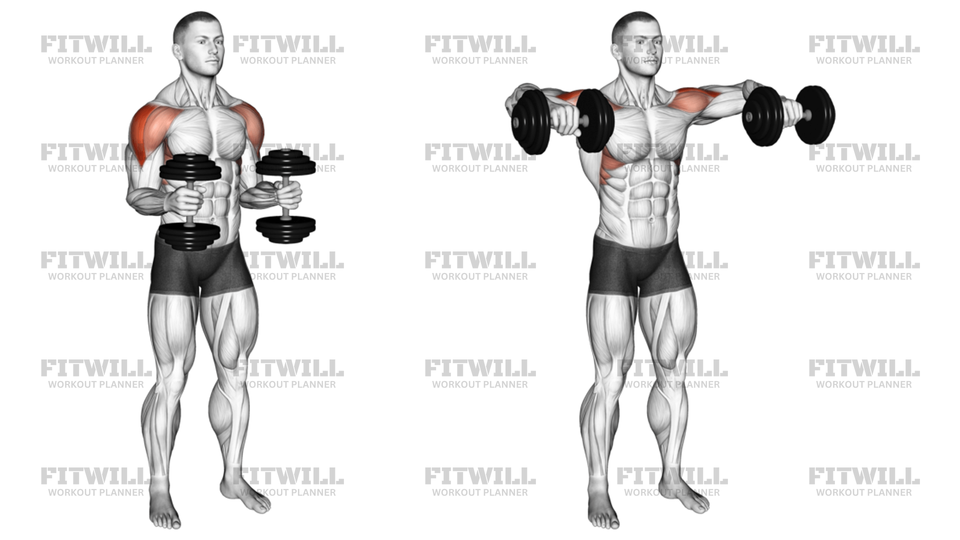 Elevaciones Laterales Con Mancuernas Y Brazos Flexionados: Guía de ...