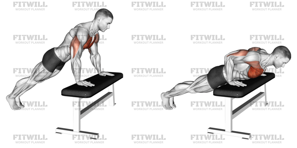 Incline Push-Up (on Bench): Exercise Guide, Techniques, Benefits, How ...