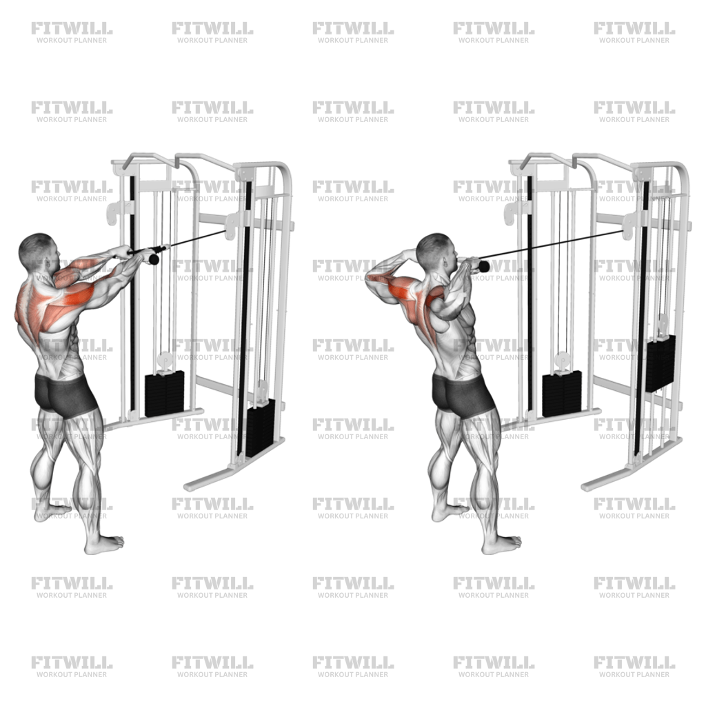 Cable Rope Standing Face Pull: Exercise Guide, Video, Techniques ...