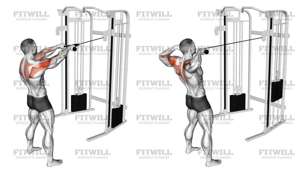 Cable Rope Standing Face Pull: Exercise Guide, Video, Techniques ...