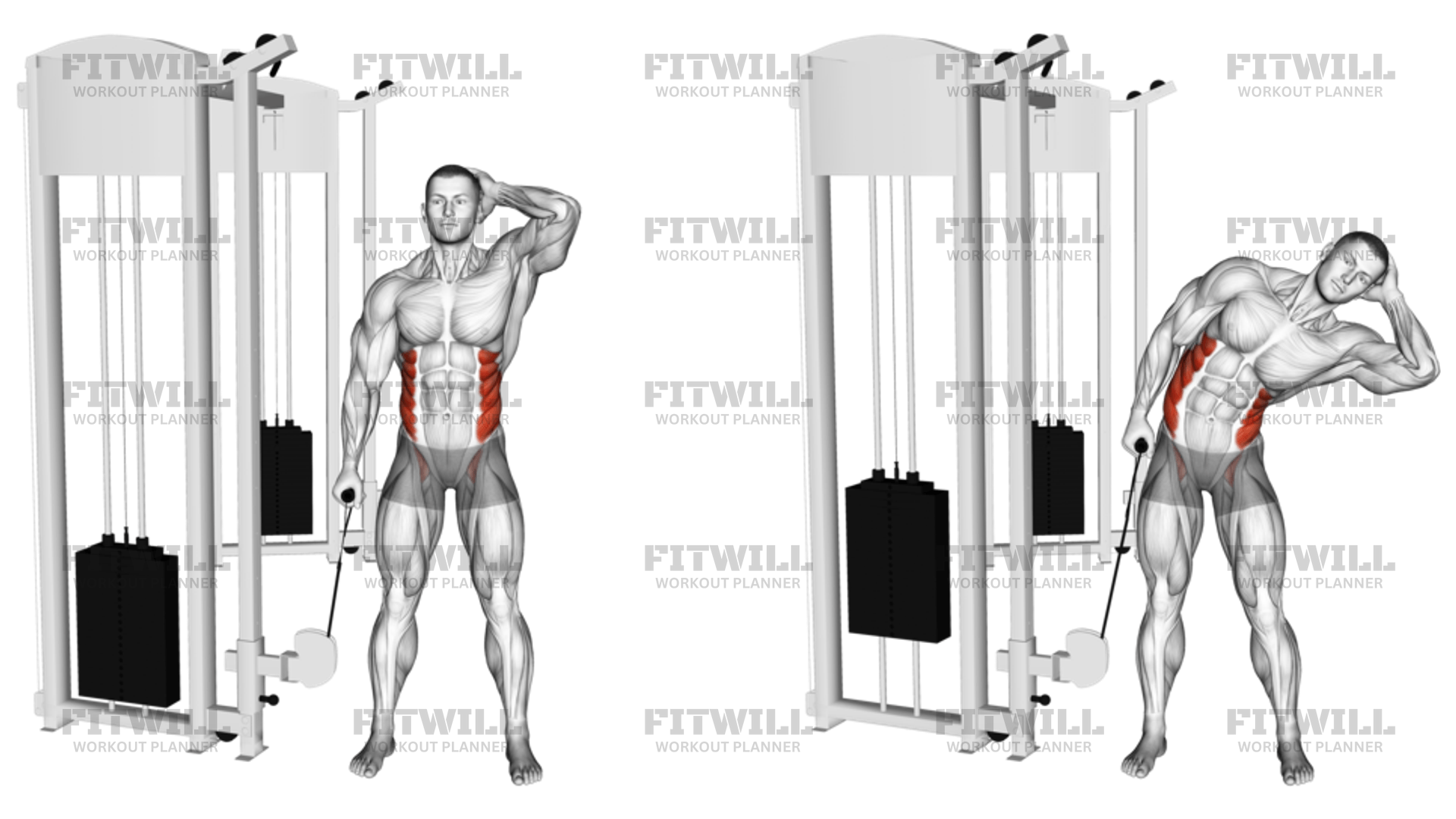 Cable Side Bend: Exercise Guide, Video, Techniques, Benefits, How to, Muscles Worked, Tips ...