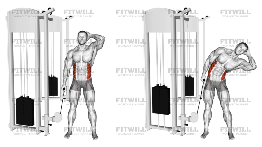 Cable Side Bend: Exercise Guide, Video, Techniques, Benefits, How to ...