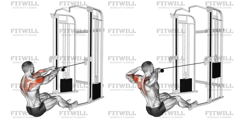 Cable Seated Face Pull (with Rope): Exercise Guide, Video, Techniques ...