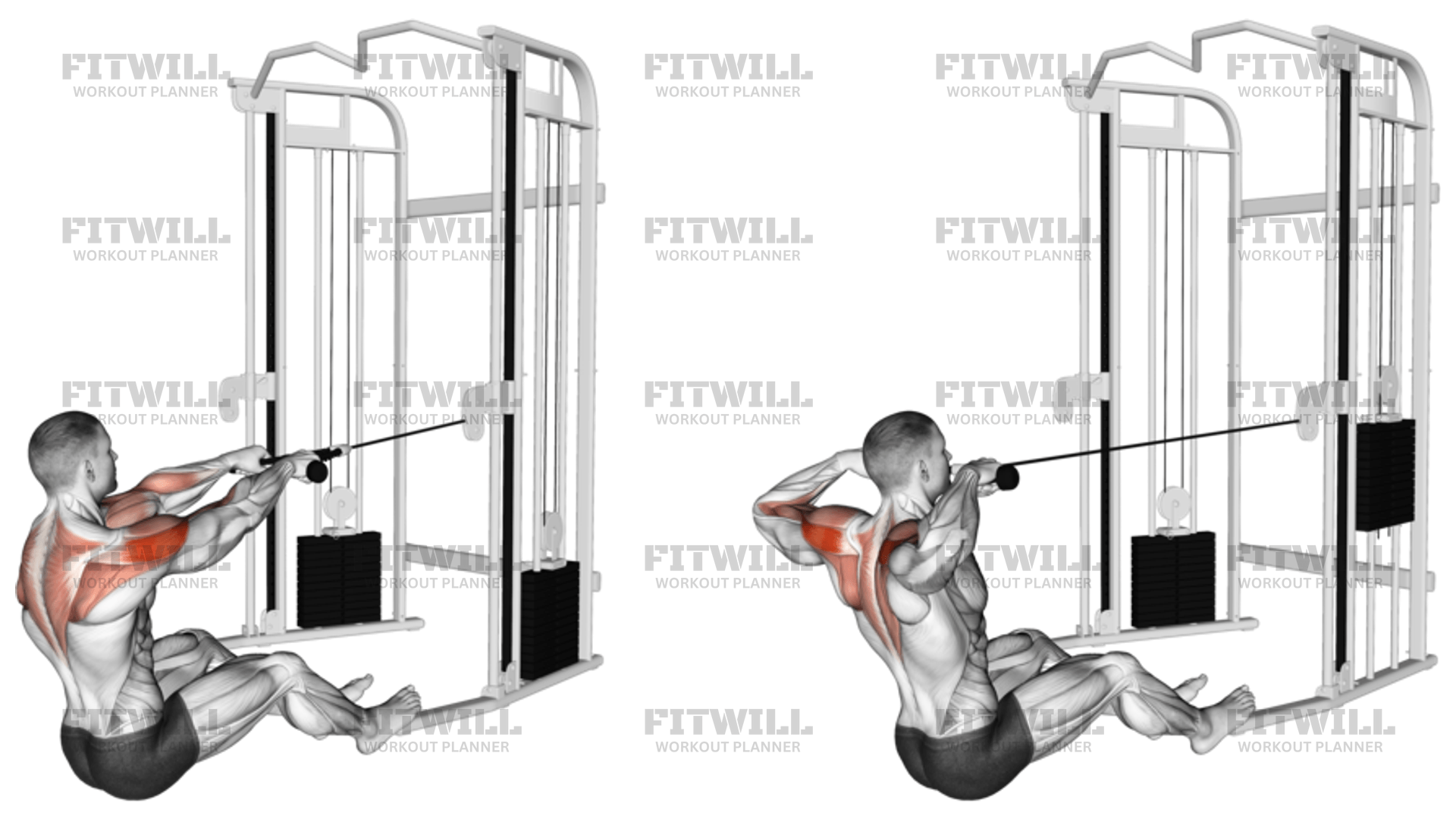 Cable Seated Face Pull (with Rope): Exercise Guide, Video, Techniques ... Cable Seated Face Pull (with Rope): Exercise Guide, Video, Techniques ...