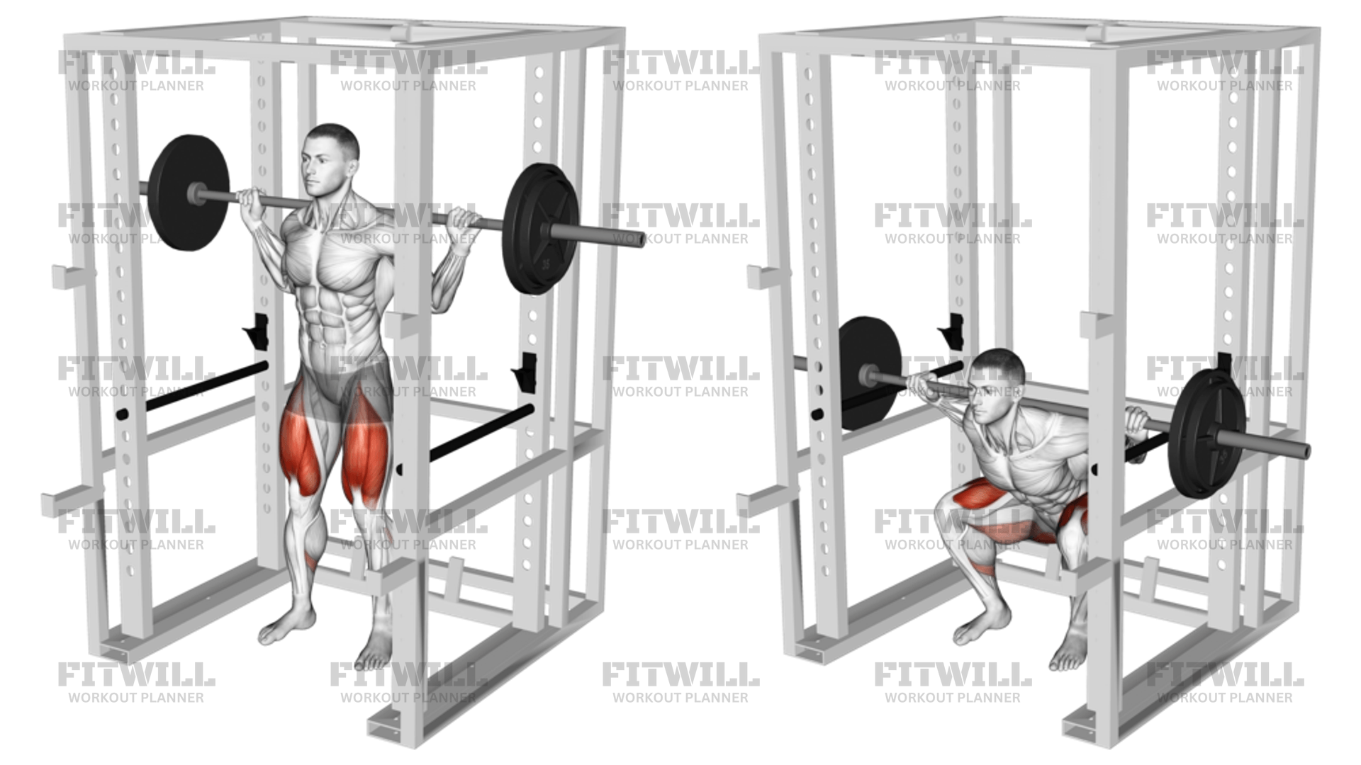 Sentadilla Anderson Con Barra: Guía de Ejercicios, Técnicas, Beneficios ...