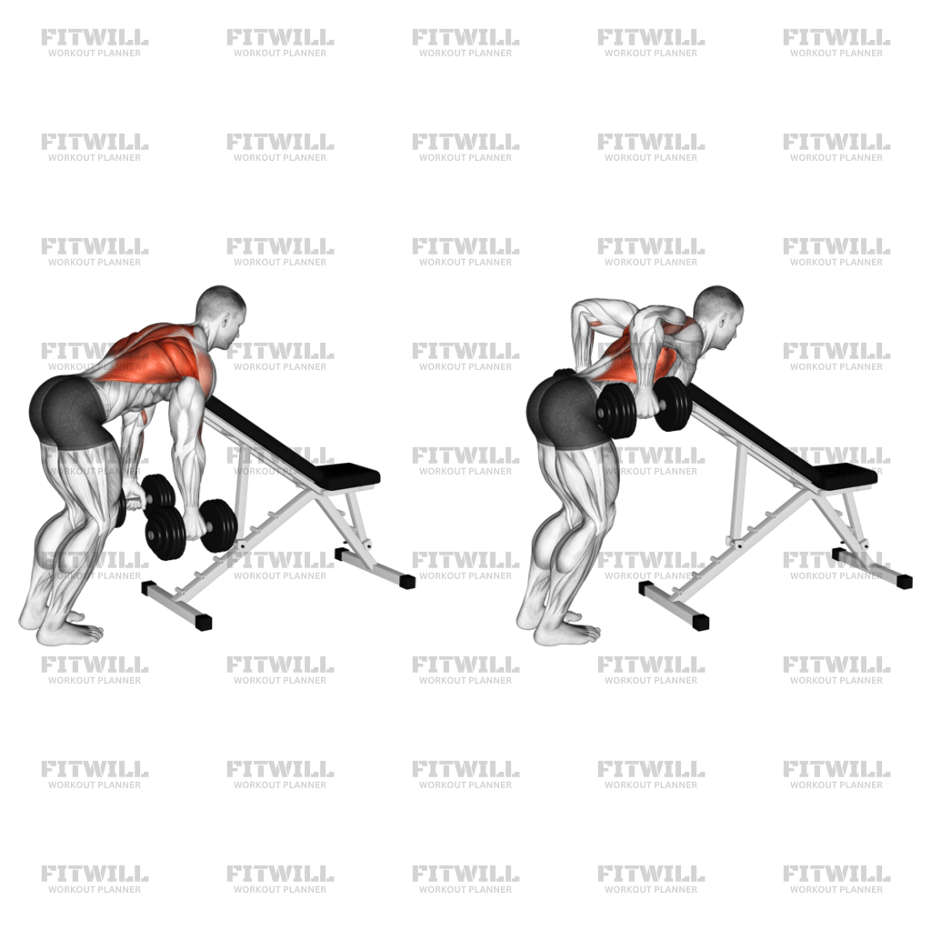 Dumbbell Bent Over Row With Chest Support: Exercise Guide, Techniques ...