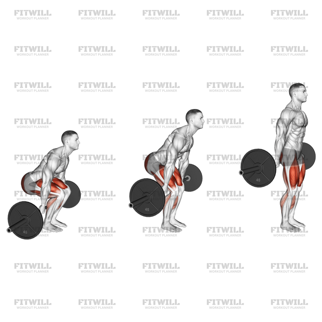 Barbell Behind The Back Deadlift: Exercise Guide, Techniques, Benefits ...