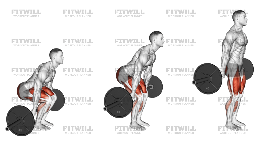 Barbell Behind The Back Deadlift: Exercise Guide, Techniques, Benefits ...