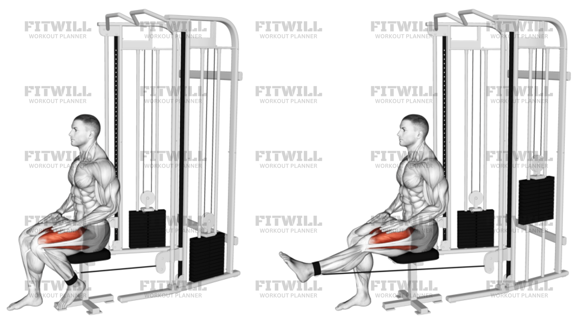 Cable Seated Leg Extension: Exercise Guide, Video, Techniques, Benefits ...