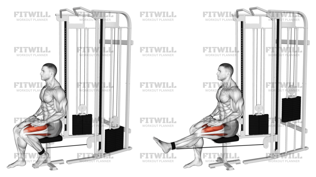 Cable Seated Leg Extension: Exercise Guide, Video, Techniques, Benefits ...