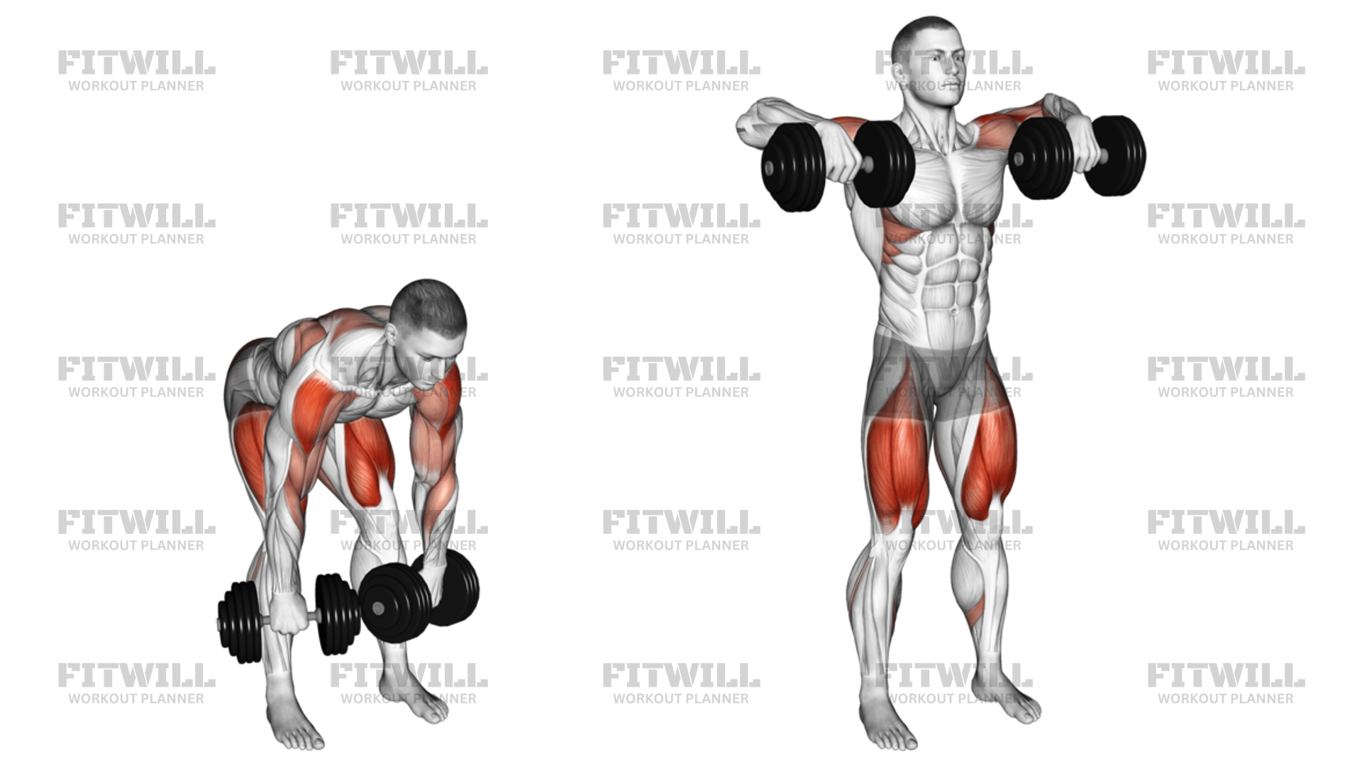 Dumbbell High Pull: Exercise Guide, Techniques, Benefits, How to ...