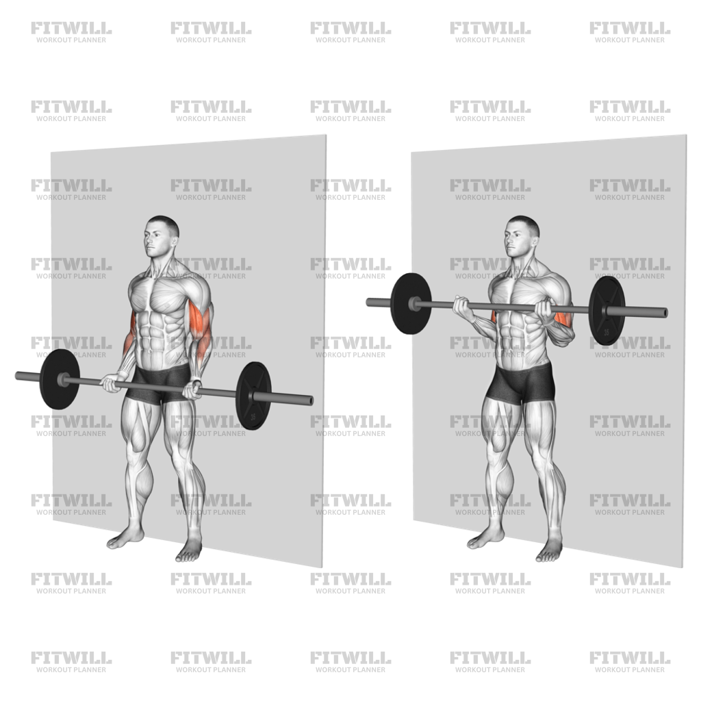 Curl Estricto Con Barra: Guía de Ejercicios, Video, Técnicas ...