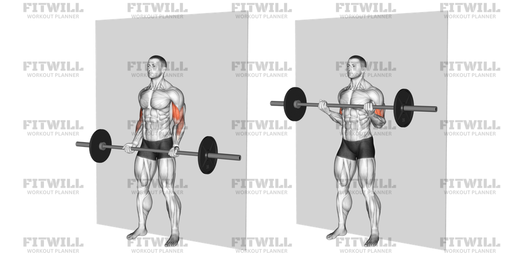 Barbell Srtict Curl: Exercise Guide, Video, Techniques, Benefits, How to, Muscles Worked, Tips ...