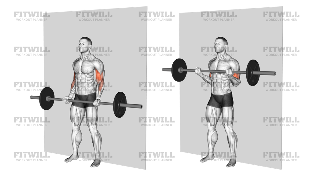 Curl Estricto Con Barra: Guía de Ejercicios, Video, Técnicas ...