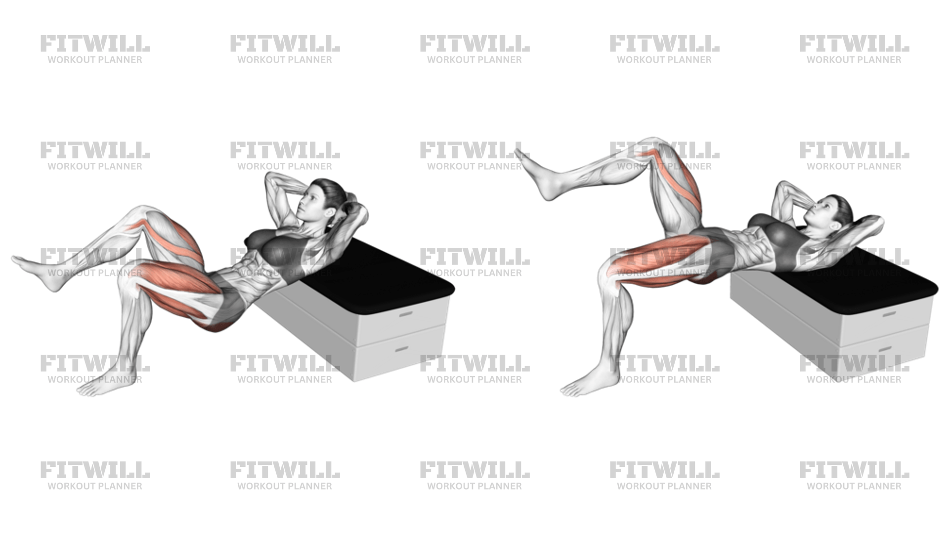 Puente De Glúteos Con Una Pierna Al Peso Corporal: Guía de Ejercicios, Técnicas, Beneficios ...