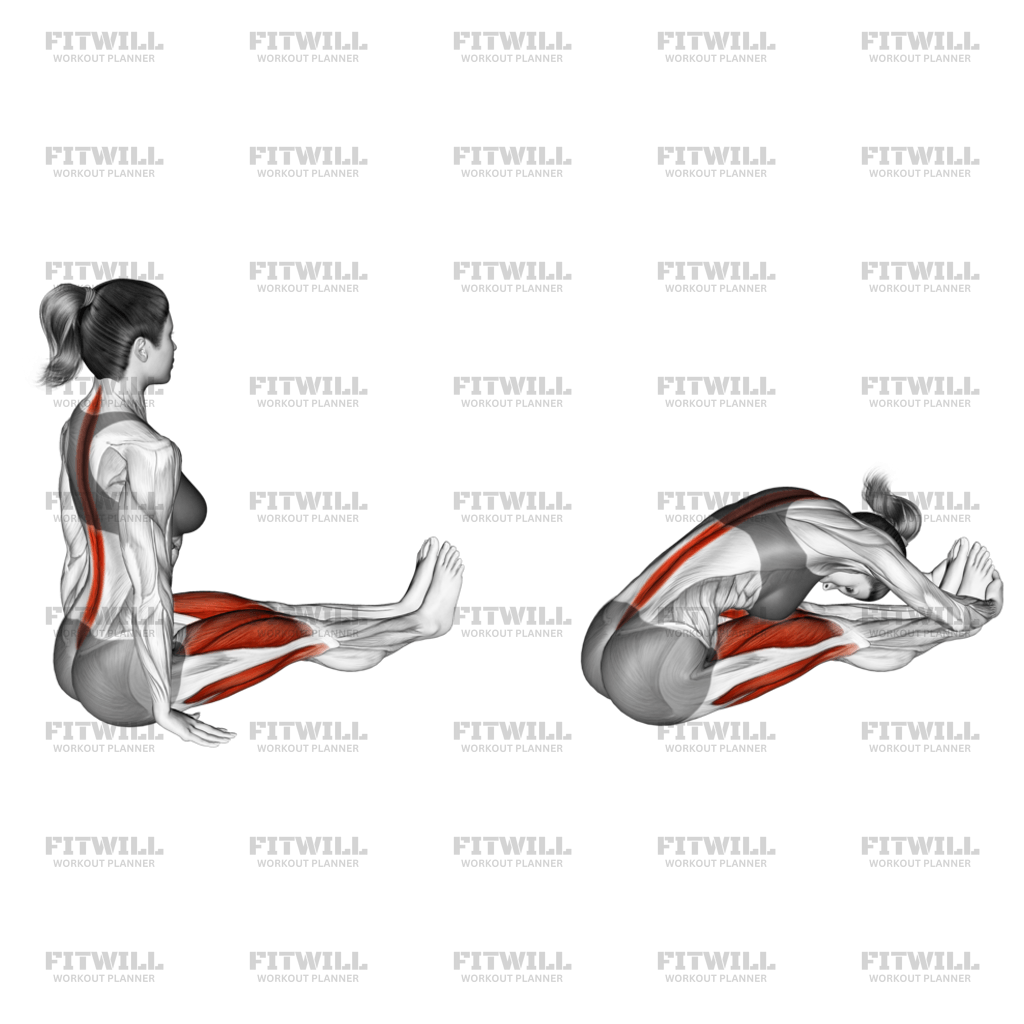 Lean Forward Stretch: Exercise Guide, Video, Techniques, Benefits, How ...