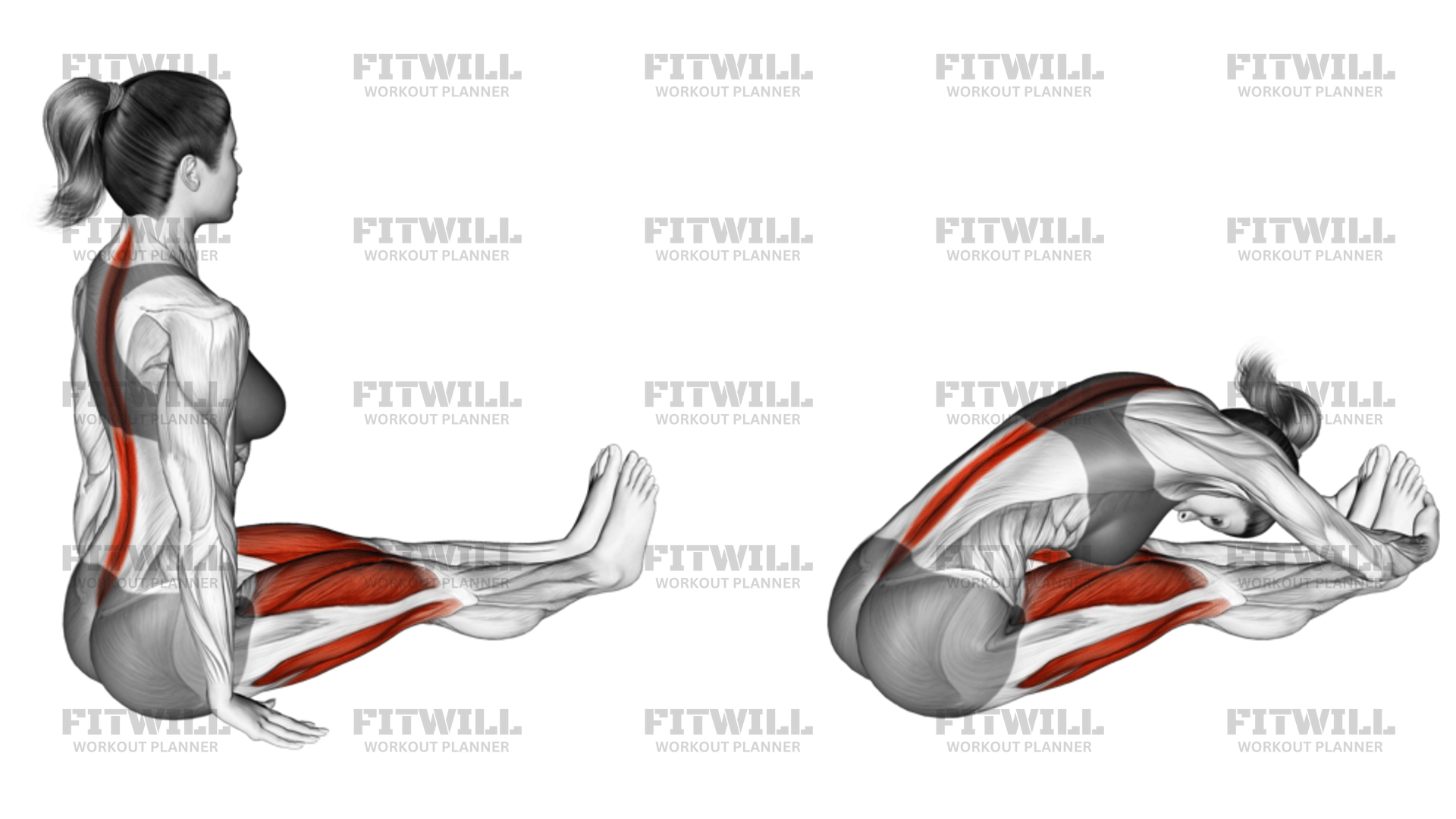 Lean Forward Stretch: Exercise Guide, Video, Techniques, Benefits, How ...