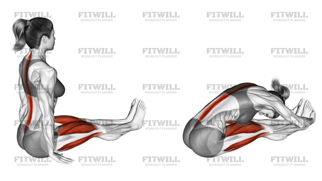 Lean Forward Stretch: Exercise Guide, Video, Techniques, Benefits, How ...