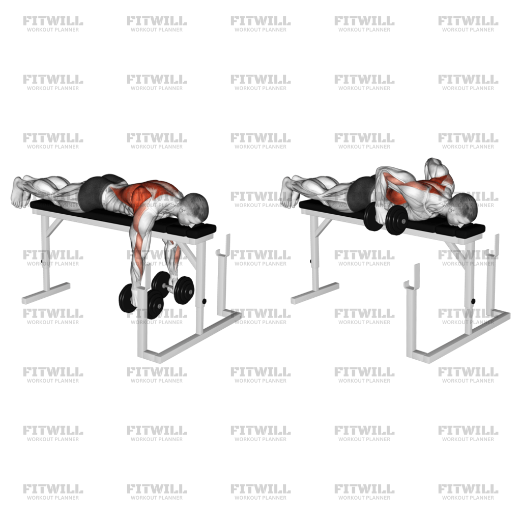 Dumbbell Lying Row On Rack: Exercise Guide, Techniques, Benefits, How ...