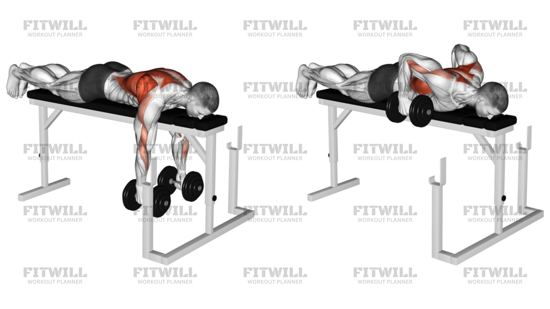 Dumbbell Lying Row On Rack: Exercise Guide, Techniques, Benefits, How ...