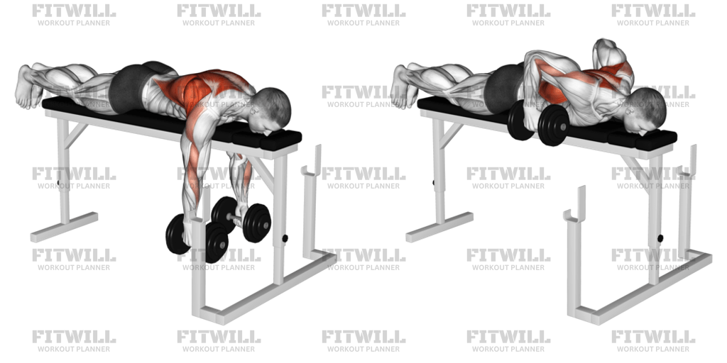 Dumbbell Lying Row On Rack: Exercise Guide, Techniques, Benefits, How ...