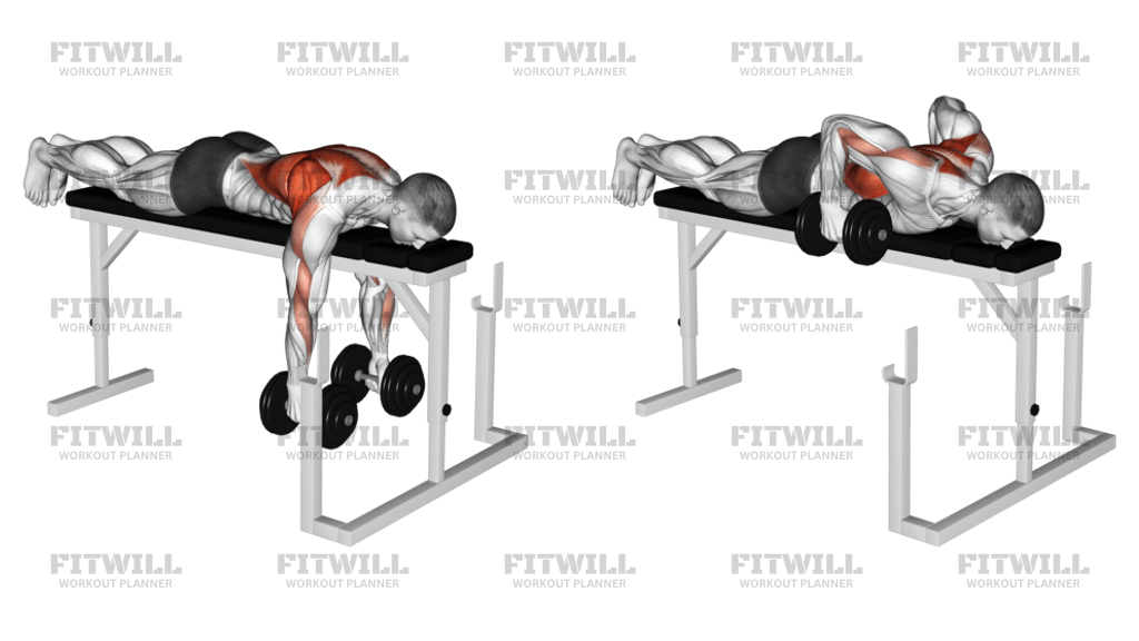 Dumbbell Lying Row On Rack: Exercise Guide, Techniques, Benefits, How ...