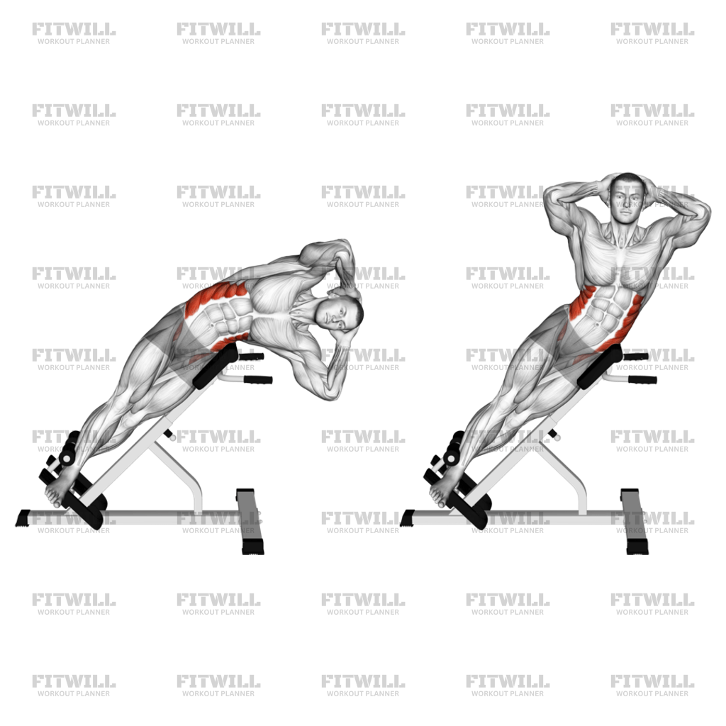 Flexão Lateral No Banco Romano A 45 Graus: Guia de Exercícios, Técnicas ...