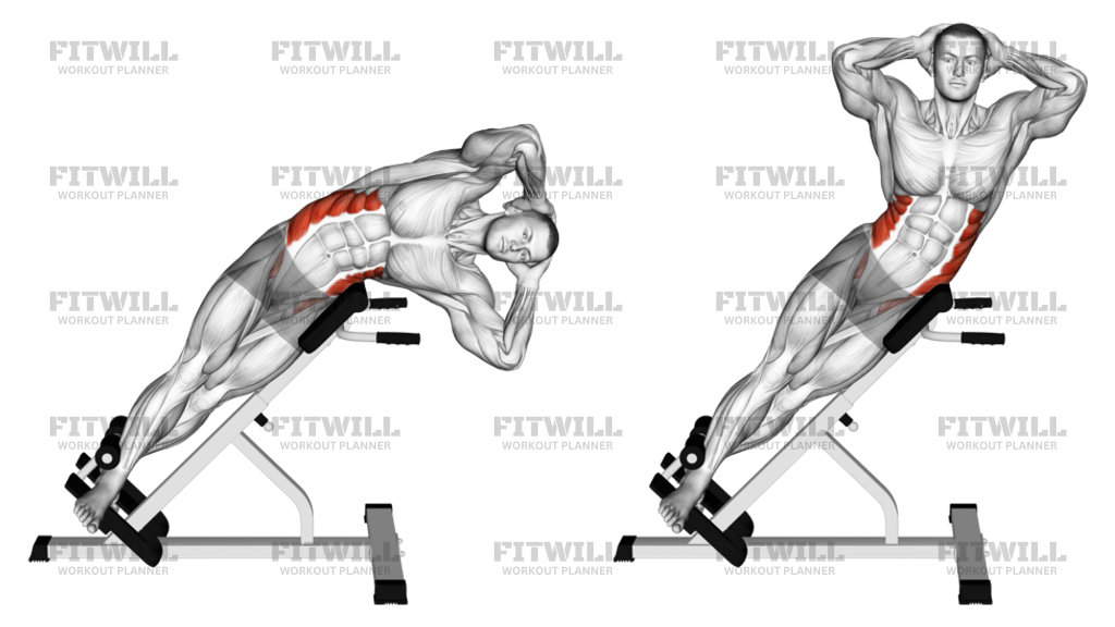 Flexão Lateral Na Cadeira Romana 45 Graus: Guia de Exercícios, Técnicas ...