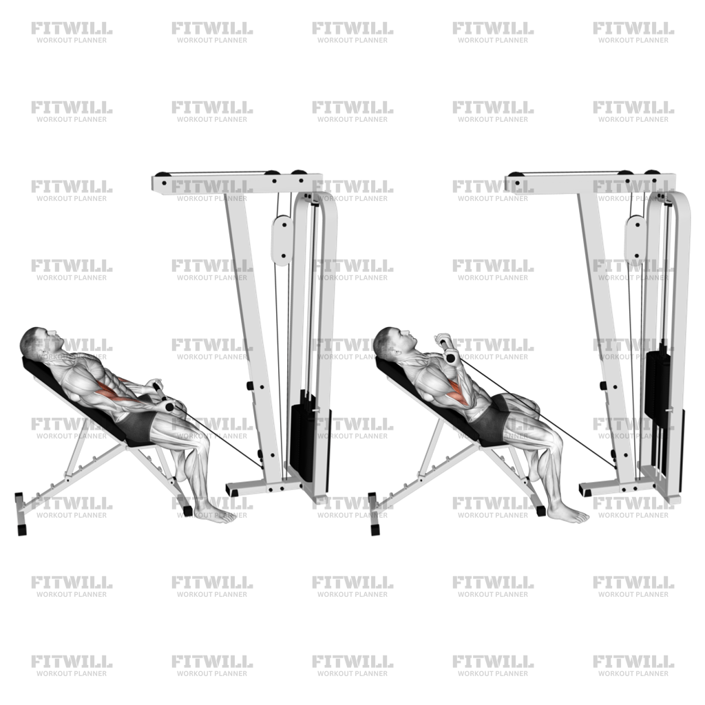 Rosca Bíceps Inclinado Com Cabo: Guia de Exercícios, Vídeo, Técnicas ...