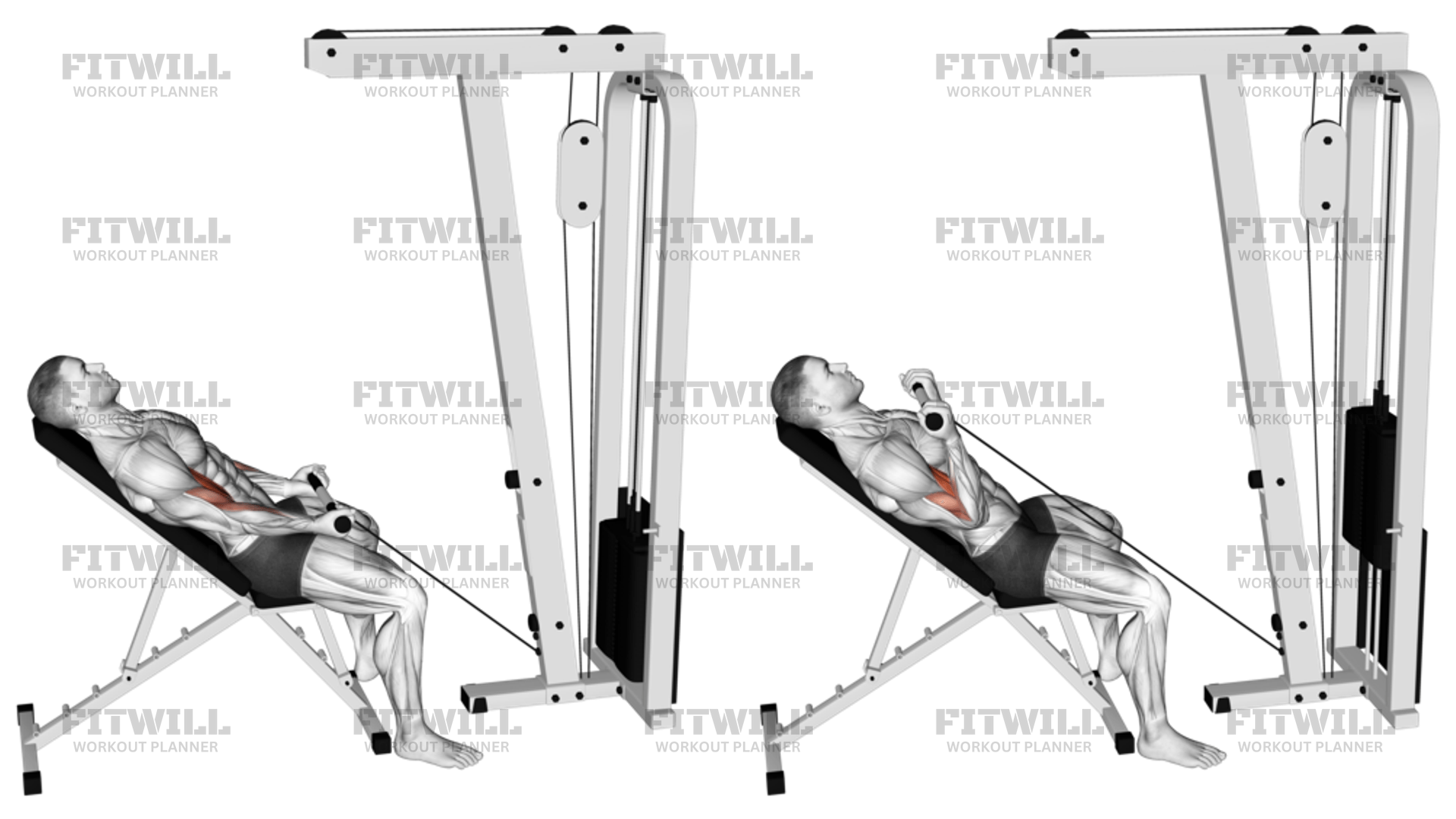 Cable Incline Biceps Curl: Exercise Guide, Video, Techniques, Benefits ...