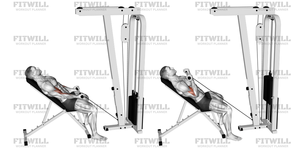 Cable Incline Biceps Curl: Exercise Guide, Video, Techniques, Benefits ...