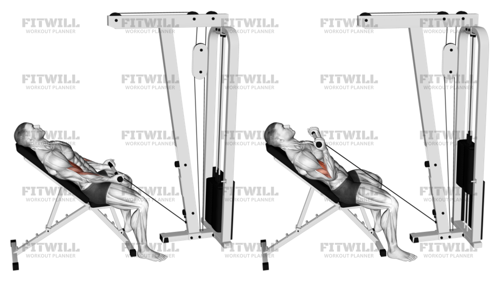 Cable Incline Biceps Curl Exercise Guide Video Techniques Benefits How To Muscles Worked