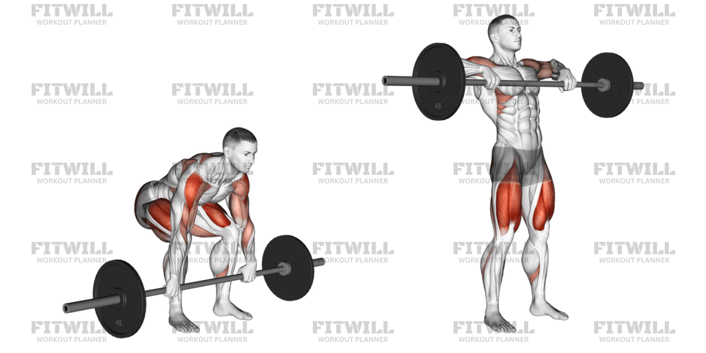 Barbell Clean High Pull: Guide, Techniques, Benefits, How to, Muscles ...