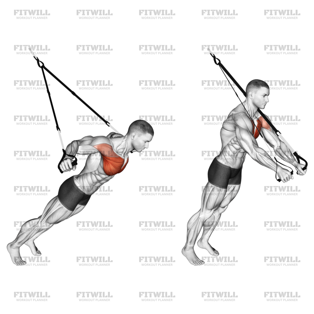 Suspension Fly: Exercise Guide, Video, Techniques, Benefits, How to, Muscles Worked, Tips ...