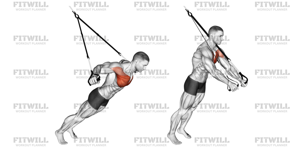 Suspension Fly: Exercise Guide, Video, Techniques, Benefits, How to, Muscles Worked, Tips ...