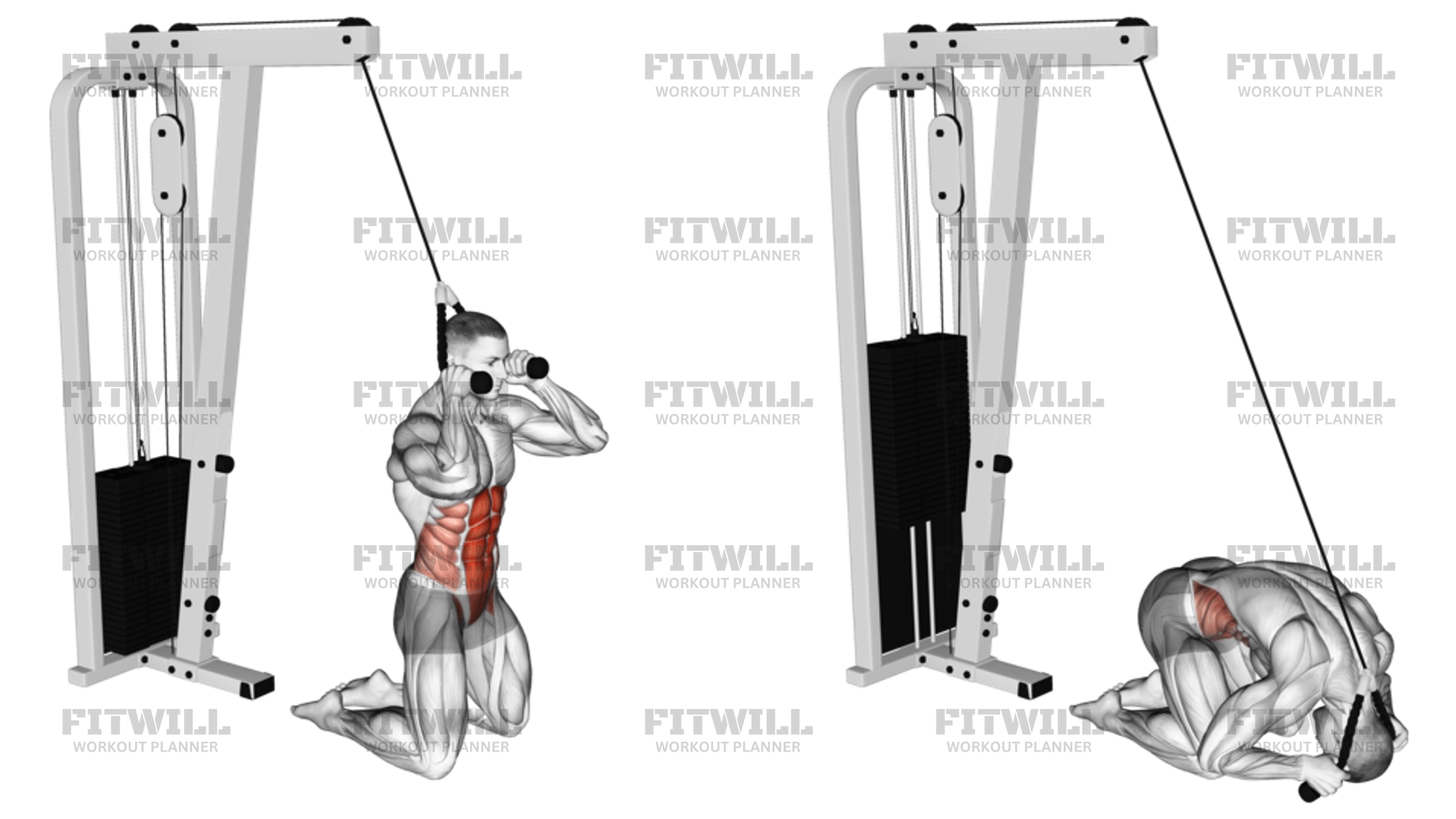Cable Rope Kneeling Crunch: Exercise Guide, Video, Techniques, Benefits ...
