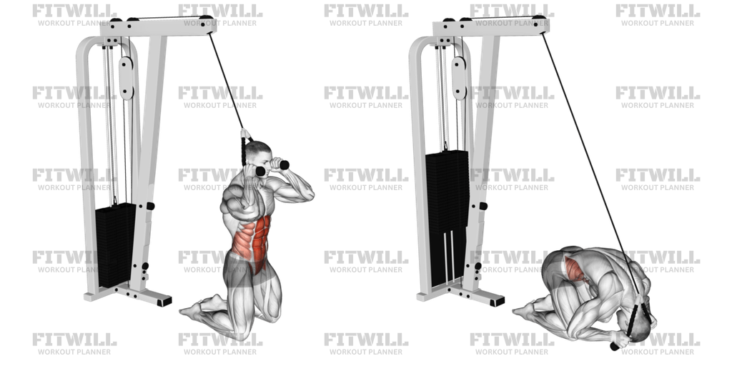 Power Up Your Core: Effective Cable Machine Workout for Total Abdominal ...
