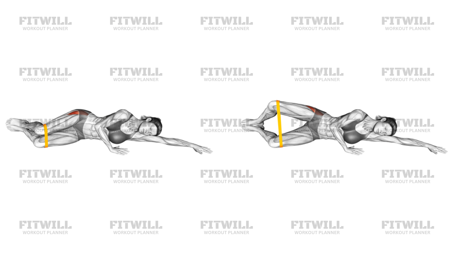 Resistance Band Clam: Exercise Guide, Video, Techniques, Benefits, How ...