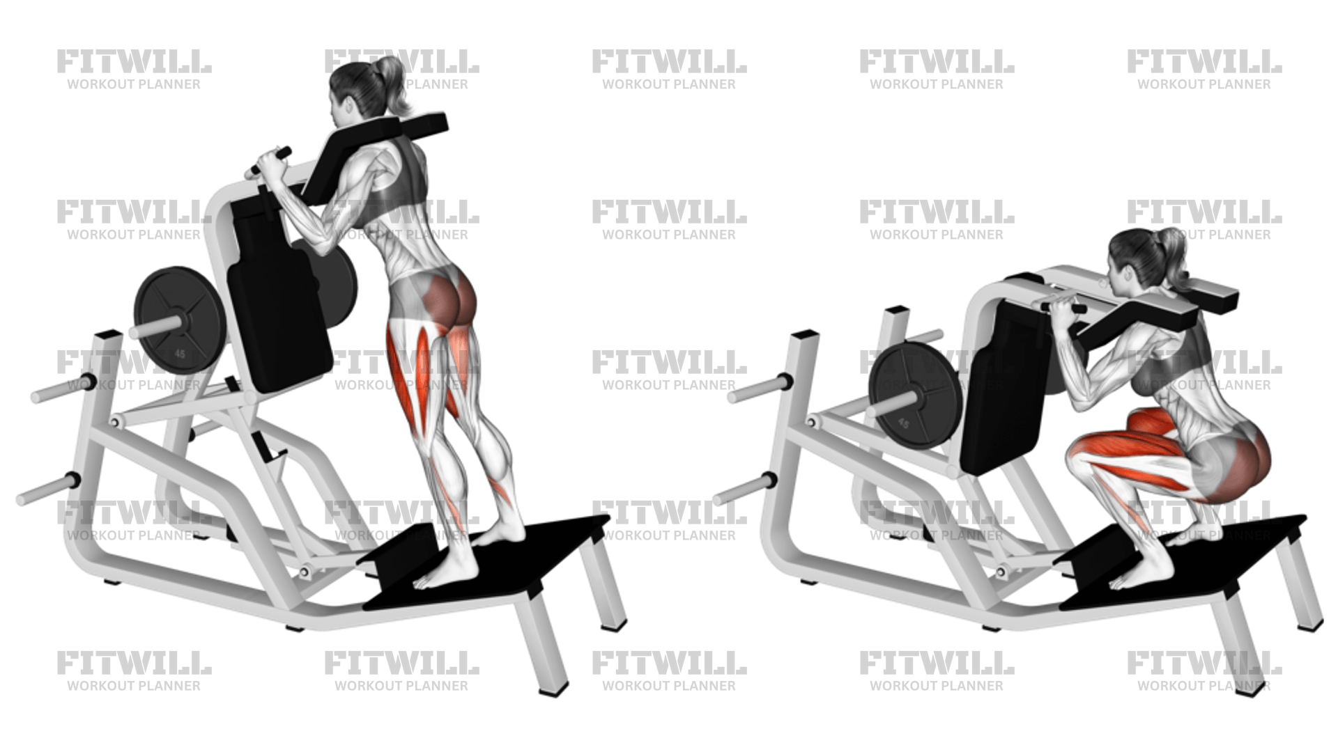 Sentadilla Hack Vertical Inversa Con Palanca: Guía de Ejercicios, Video ...