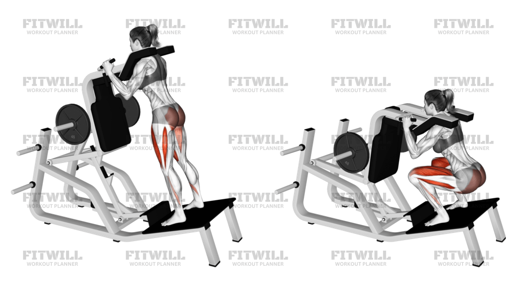 Sentadilla Hack Vertical Inversa Con Palanca: Guía de Ejercicios, Video ...