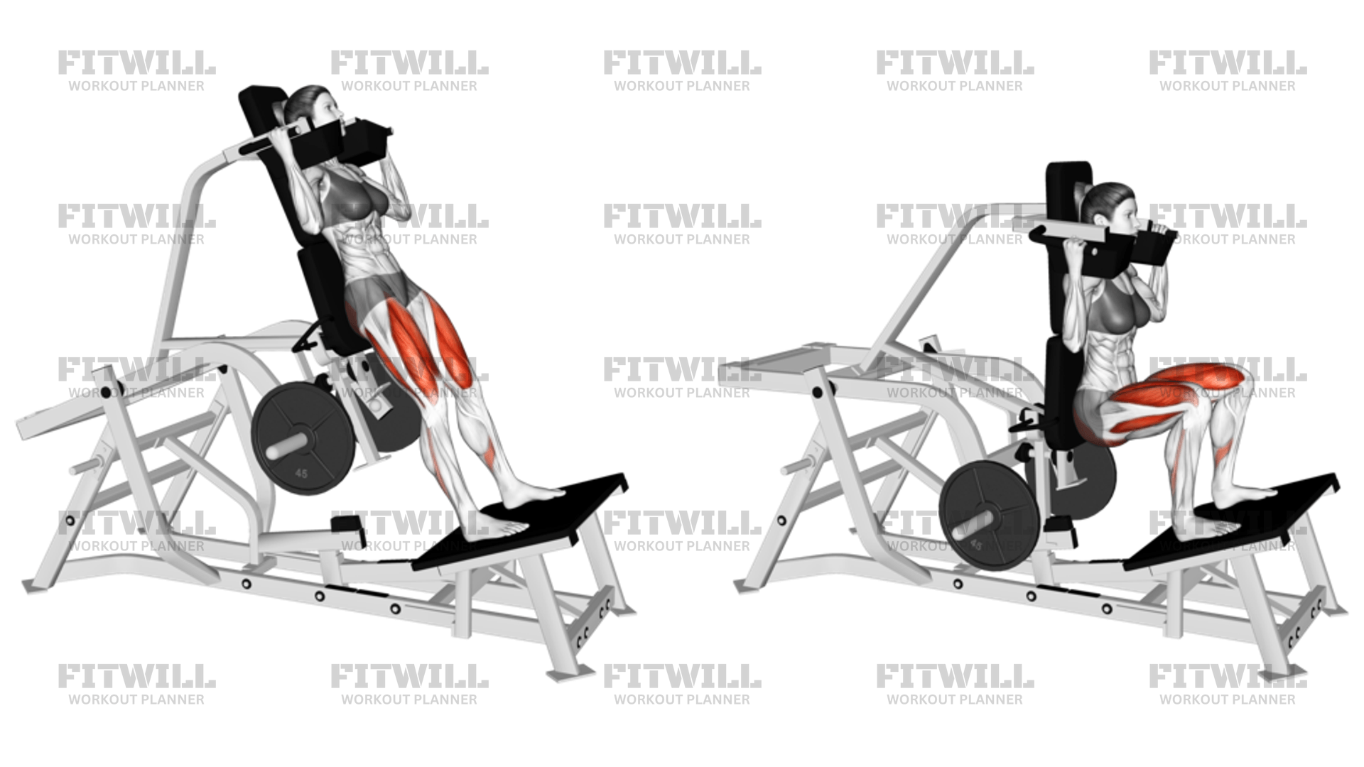 Lever Squat (plate Loaded): Exercise Guide, Video, Techniques, Benefits ...
